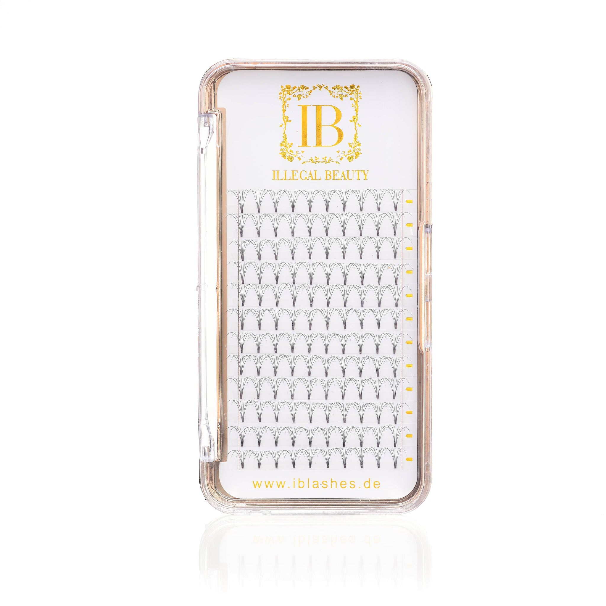 6D volume eyelash fan | IBLASHES